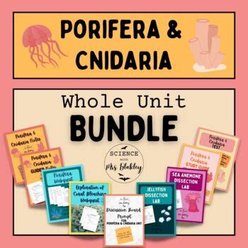 Porifera Cnidaria WHOLE UNIT BUNDLE By Science With Mrs Blakley