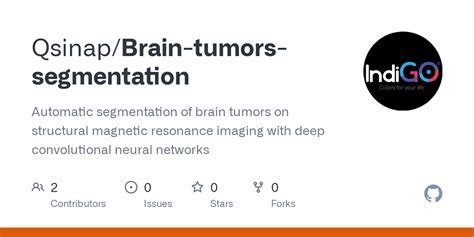 Github Qsinap Brain Tumors Segmentation Automatic Segmentation Of