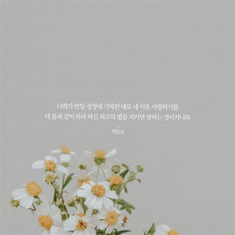 심쿵말씀 너희가 만일 성경에 기록된 대로 네 이웃 사랑하기를 네 몸과 같이 하라 하신 최고의 법을