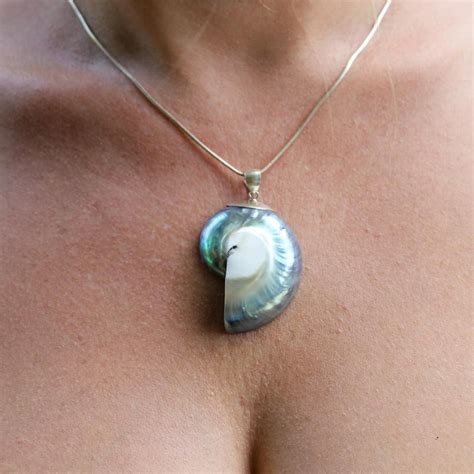 Nautilus Shell Necklace