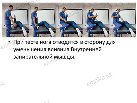 Мануально-мышечное тестирование. МФЦ ног и туловища. Блок 1. Модуль 2 ...