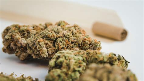 The Ultimate Guide To Thca The Weed Blog