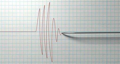 Polygraph Tests And Gender Differences Do Results Vary By Biology