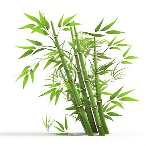 一株绿色的夏竹卡通素材图片免费下载 千库网