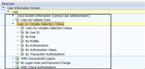 SAP Security System Authorization Concept