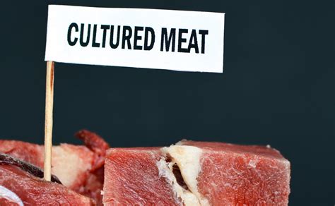 Italian Government Bans Cultivated Meat