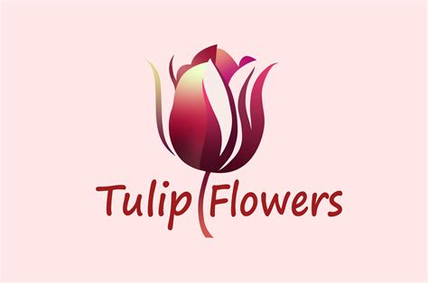 Tulip ტიტა Flowers Tbilisi