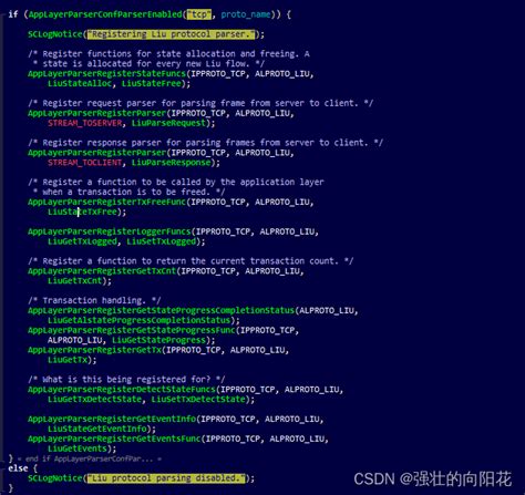 Suricata 开源工具学习 自定义协议开发suricata 开始使用rust协议解析的版本 Csdn博客