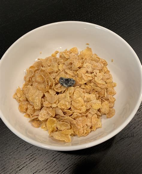 This Dark Flake In My Frosted Flakes Rmildlyinteresting