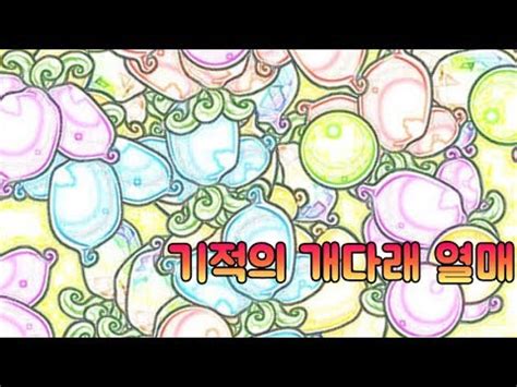 모바일게임 냥코대전쟁 무지개 개다래 열매 높은 확률로 무조건 얻는법 YouTube