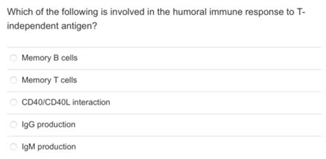 B Cell Biology Flashcards Quizlet