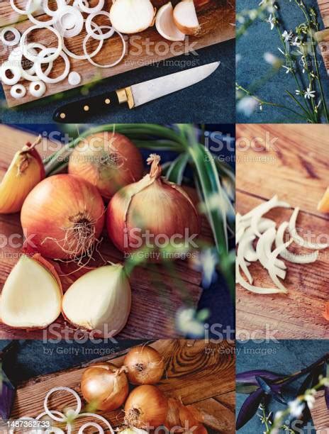 나무 도마에 양파와 슬라이스를 굽는다 건강한 음식 콜라주 배경입니다 0명에 대한 스톡 사진 및 기타 이미지 0명 갈색 개념 Istock