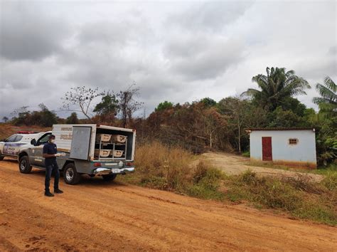 Suspeito De Matar Mulher Achada Seminua Em Matagal é Preso No Interior