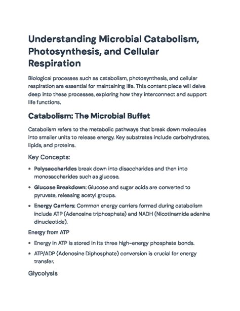 Understanding Microbial Catabolism Photosynthesis And Respiration