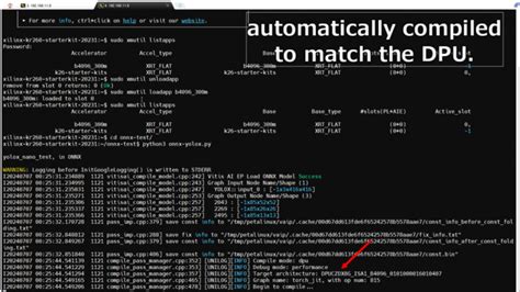 Onnx Dpu Vitis Ai Python