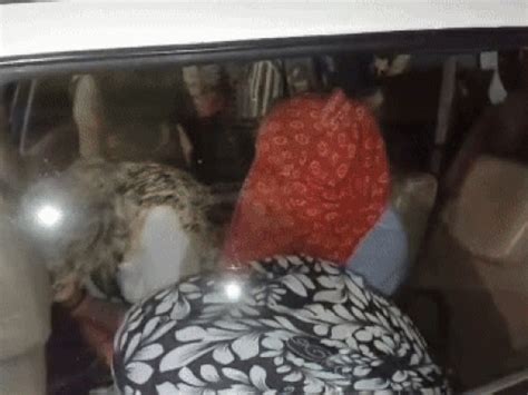 Rohtak Police Raid Hotel Sex Racket Ips Prateek Aggarwal Arya Nagar Police Station Haryana