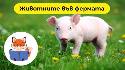 Забавно приключение с животните от фермата за малки деца 🐄🐓 Научете