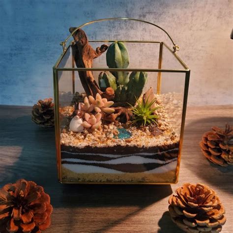 모람 테라리움 만들기 키트 Diy 아이디어스