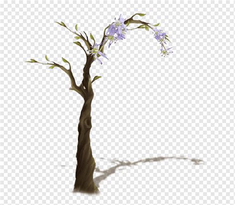 Twig Tree Tree Branch Plant Stem Twig Png PNGWing