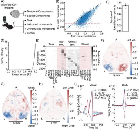 Model Discovery To Link Neural Activity To Behavioral Tasks ELife
