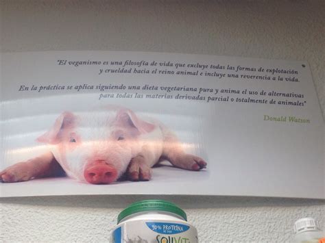 GalerÍa Del Reportaje ¿es Realmente Sano Ser Vegetariano Tarsius
