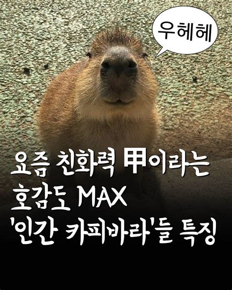 두잉피플 도서 스물하나서른아홉 구매는 Miraebook 프로필 링크를 참고해 주세요 본콘텐츠는제작비를지원받음