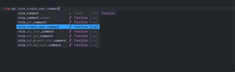 Does The Lua Api For Nvim Have Docstrings Rneovim