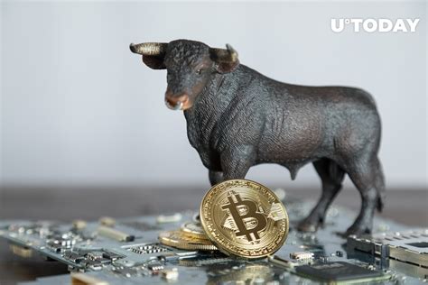 Bitcoin Comes Close To 23000 Before Dropping Lower