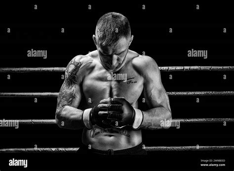 Mixed Martial Artist Posing On A Black Background Concept Of Mma Ufc
