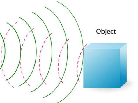 Echoes Ultrasound And Echolocation Teaching Resources