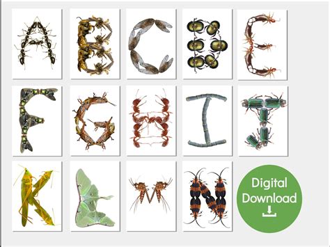 Phonetic Insect Alphabet Phonetic Bug Alphabet Printable For Hanging Alphabet Sign Bug Alphabet