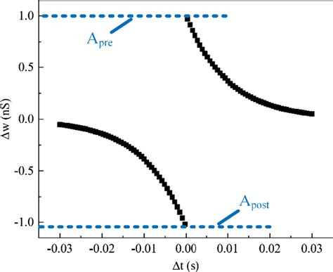 Schematic Of The Stdp Rule If The Postsynaptic Spike Occurs After The Download Scientific