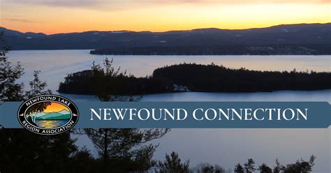 News From Newfound The Birds Are Back Newfound Lake Region Association