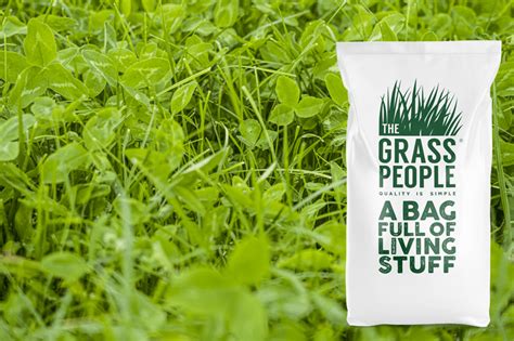 Eco Clover Lawn Grass Seed The Grass People