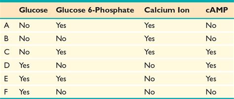 Formation And Degradation Of Glycogen Basicmedical Key