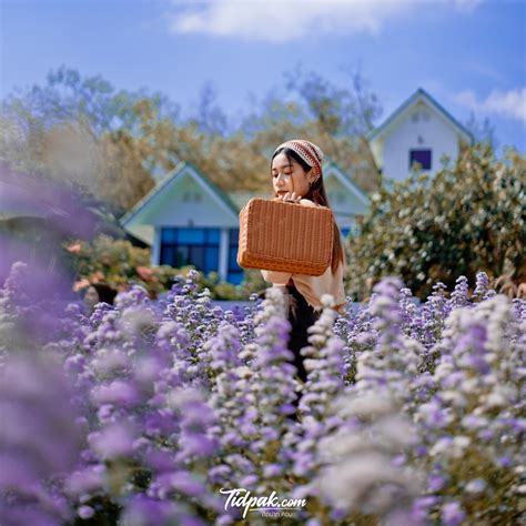 Songkhla Flower Farm สวนดอกไม้แห่งแรกในสงขลา Tidpak
