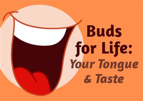 Talking About Taste Buds In Atlanta ǀ Dr Caroline Ceneviz