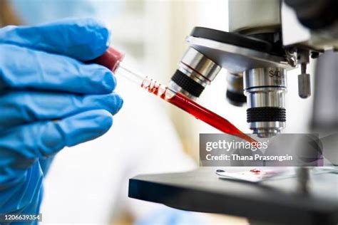 Cloning Lab Photos And Premium High Res Pictures Getty Images Cloning Lab Photos And Premium High Res Pictures Getty Images