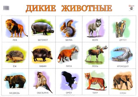 Какие дикие животные