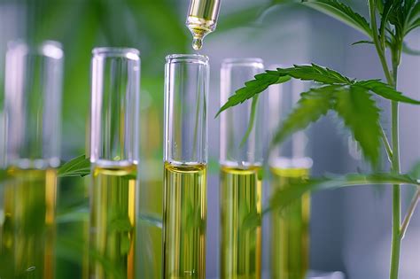 What Is Cannabinoid Potency Testing