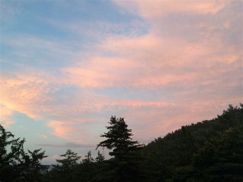 무료 이미지 나무 자연 산 구름 해돋이 일몰 언덕 새벽 황혼 저녁 잔광 기상 현상 대기 현상 아침에