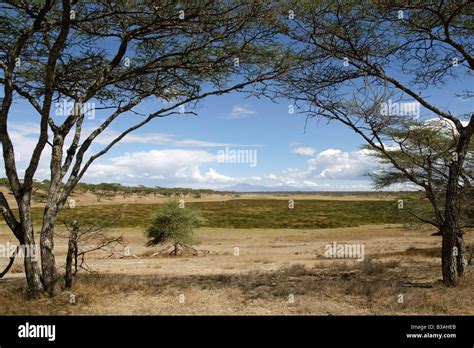 Natuerlicher Lebensraum Hi Res Stock Photography And Images Alamy