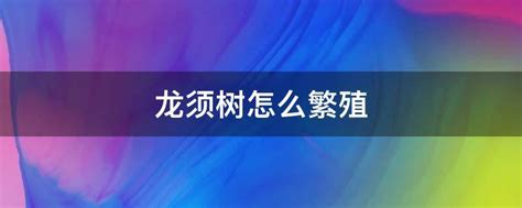 龙须树怎么繁殖 业百科