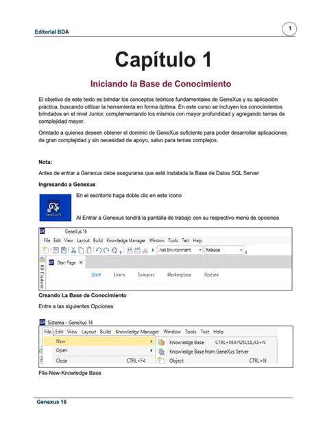 Introducción Genexus 16 Pdf