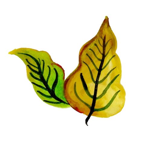 2 쪽 무료로 다운로드 가능한 Png 벡터 And 일러스트 Freepik