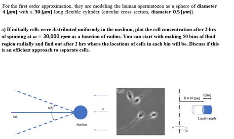 Solved For The First Order Approximation They Are Modeling Chegg Com