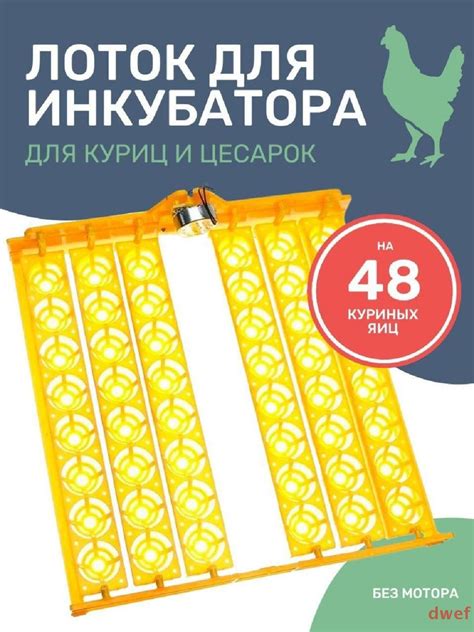 Лоток для инкубатора на 48 куриных яйца - купить с доставкой по ...