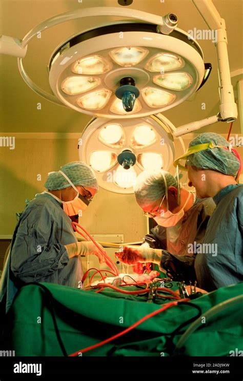 La Chirurgie De La Prostate Chirurgiens Deffectuer Une Opération Pour