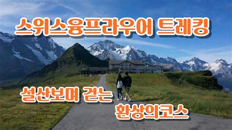 스위스 멘리헨에서 클라이네샤이덱 까지 트래킹코스 최고의 환상적인 편안한 트래킹코스 죽기전에 꼭 걸어봐야할코스 융프라우어 알프스