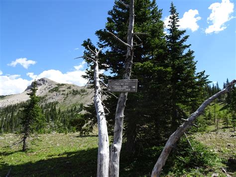 Signal Mtn Mt August 2016